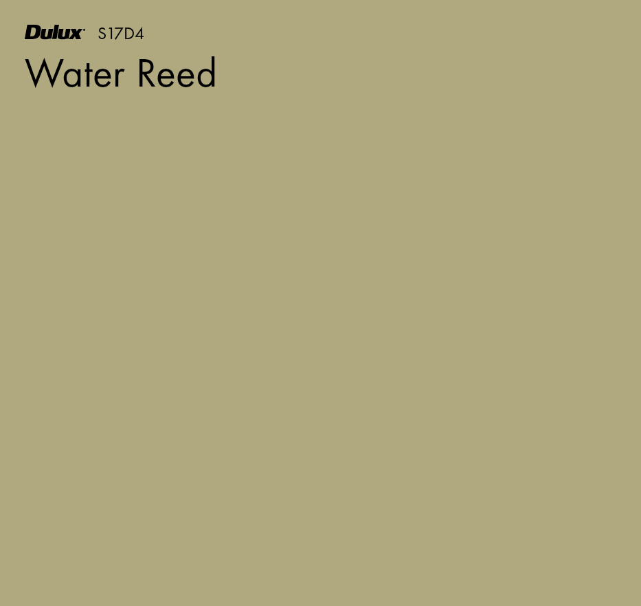 Water Reed by Dulux | Style Sourcebook