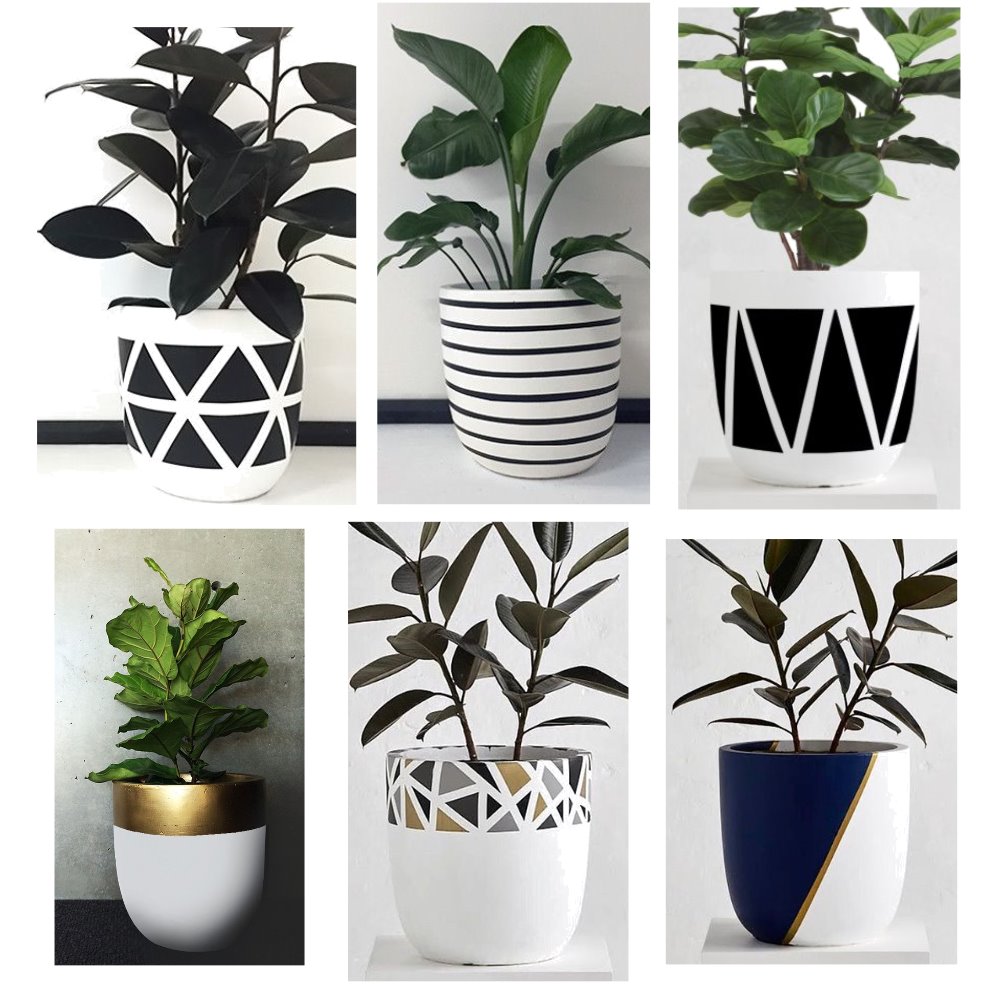 pot plants Interior Design Mood Board by angiecooper - Style Sourcebook