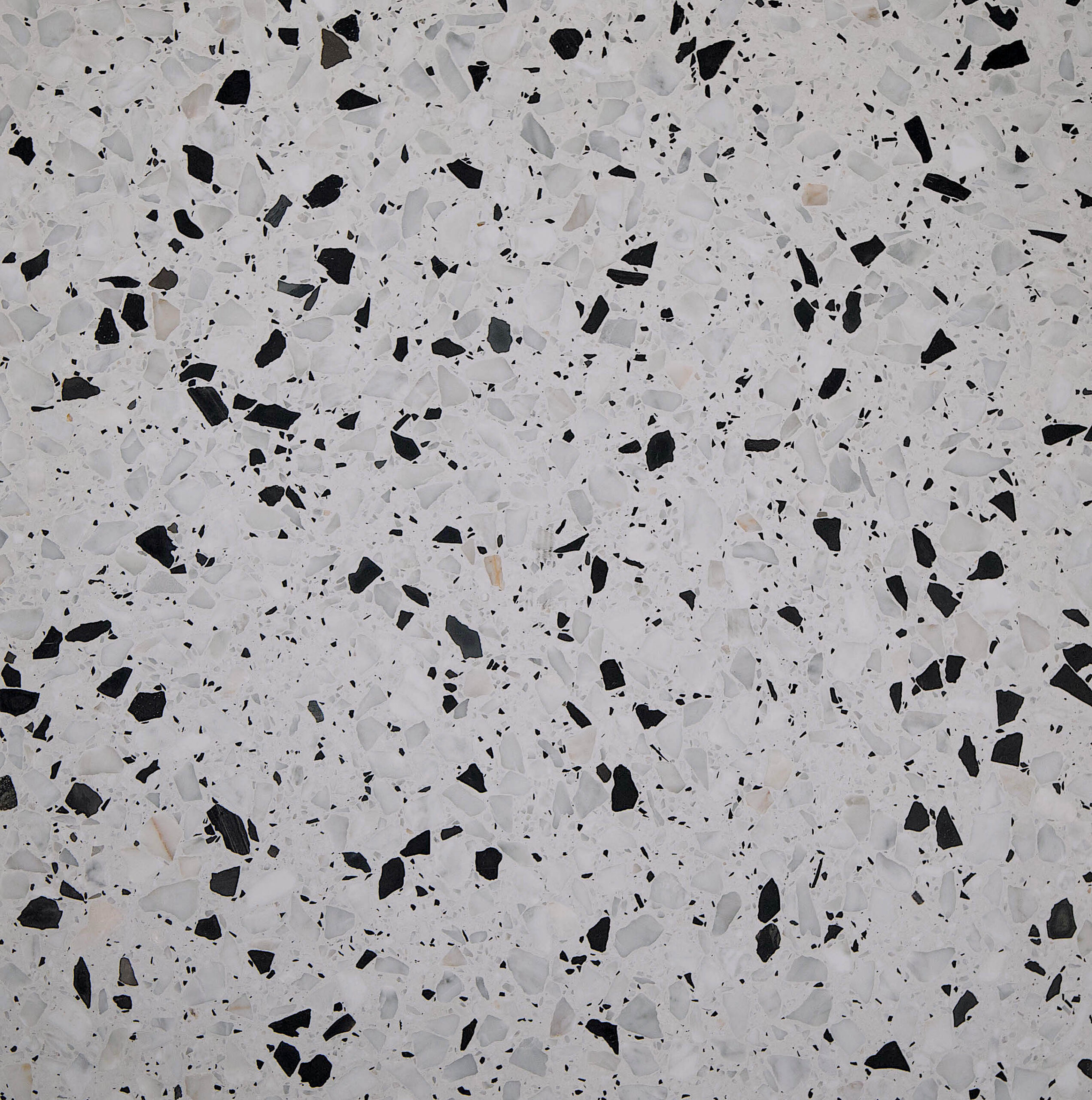 Terrazzo Honed Dalmata Grande Tile by Tile Republic - Style Sourcebook