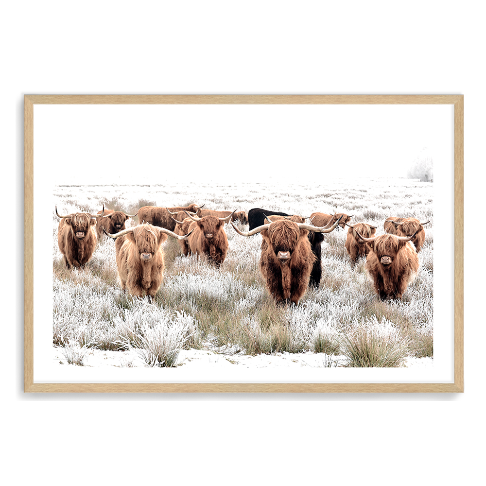 Highland Cattle Print Highland Cow Art Prints by The Paper Tree - Style ...