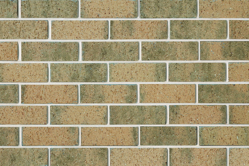 Domain - Oasis by Austral Bricks - Style Sourcebook