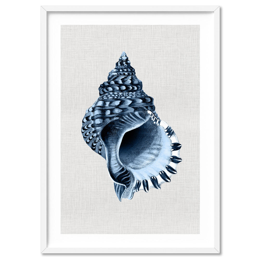 Sea Shells in Navy | Conch Shell - Art Print by Print and Proper ...