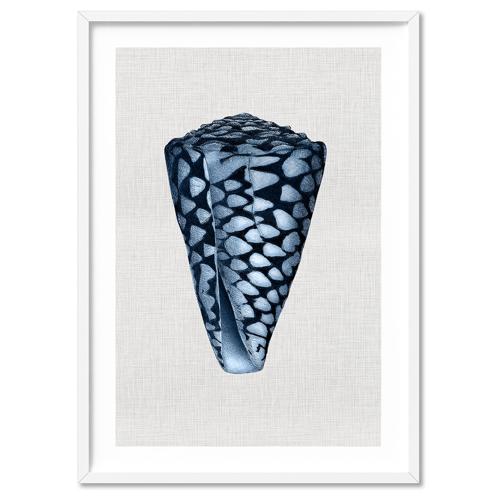 Sea Shells in Navy | Conus Shell - Art Print by Print and Proper ...