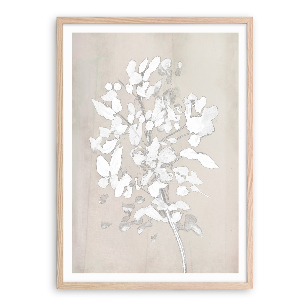 Soft Bloom Art Print by The Print Emporium - Style Sourcebook