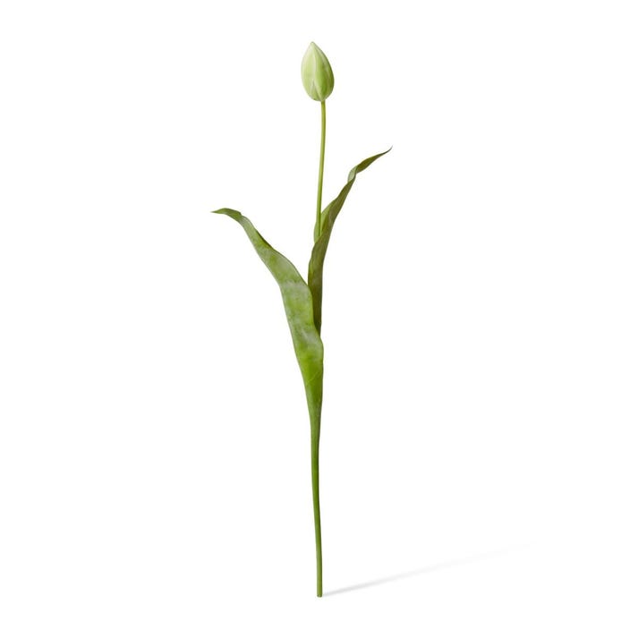 Tulip Stem - 9 x 3 x 74cm by Elme Living - Style Sourcebook