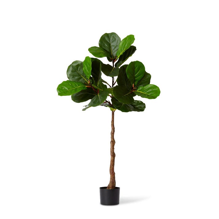 Fiddle Tree - 63 x 63 x 120cm by Elme Living - Style Sourcebook