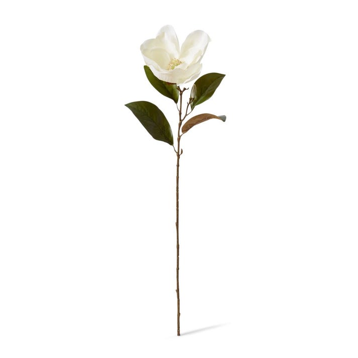 Magnolia Flower Stem - 20 x 14 x 74cm by Elme Living - Style Sourcebook