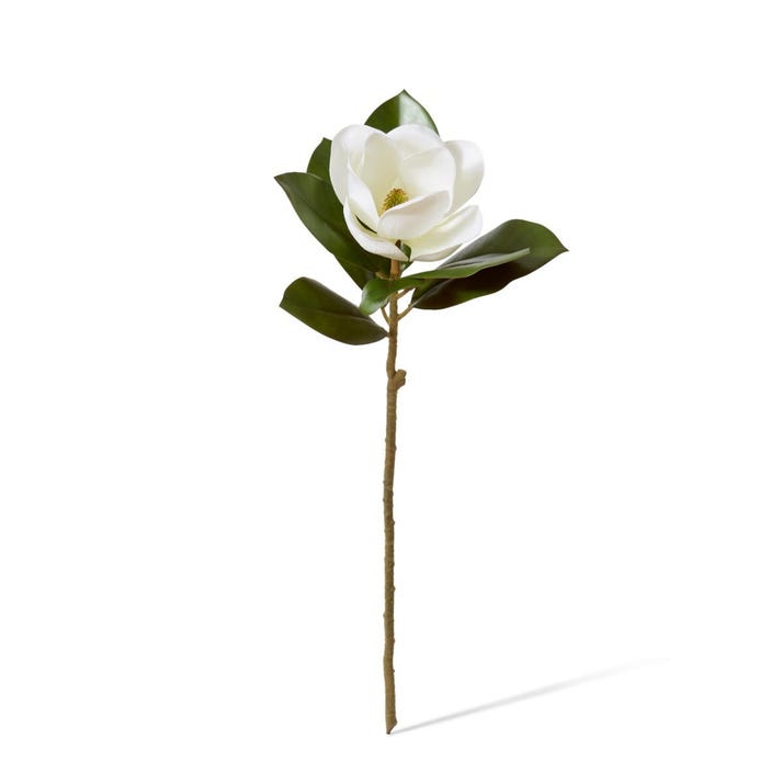 Magnolia Grand Flower Stem - 28 x 28 x 66cm by Elme Living - Style ...