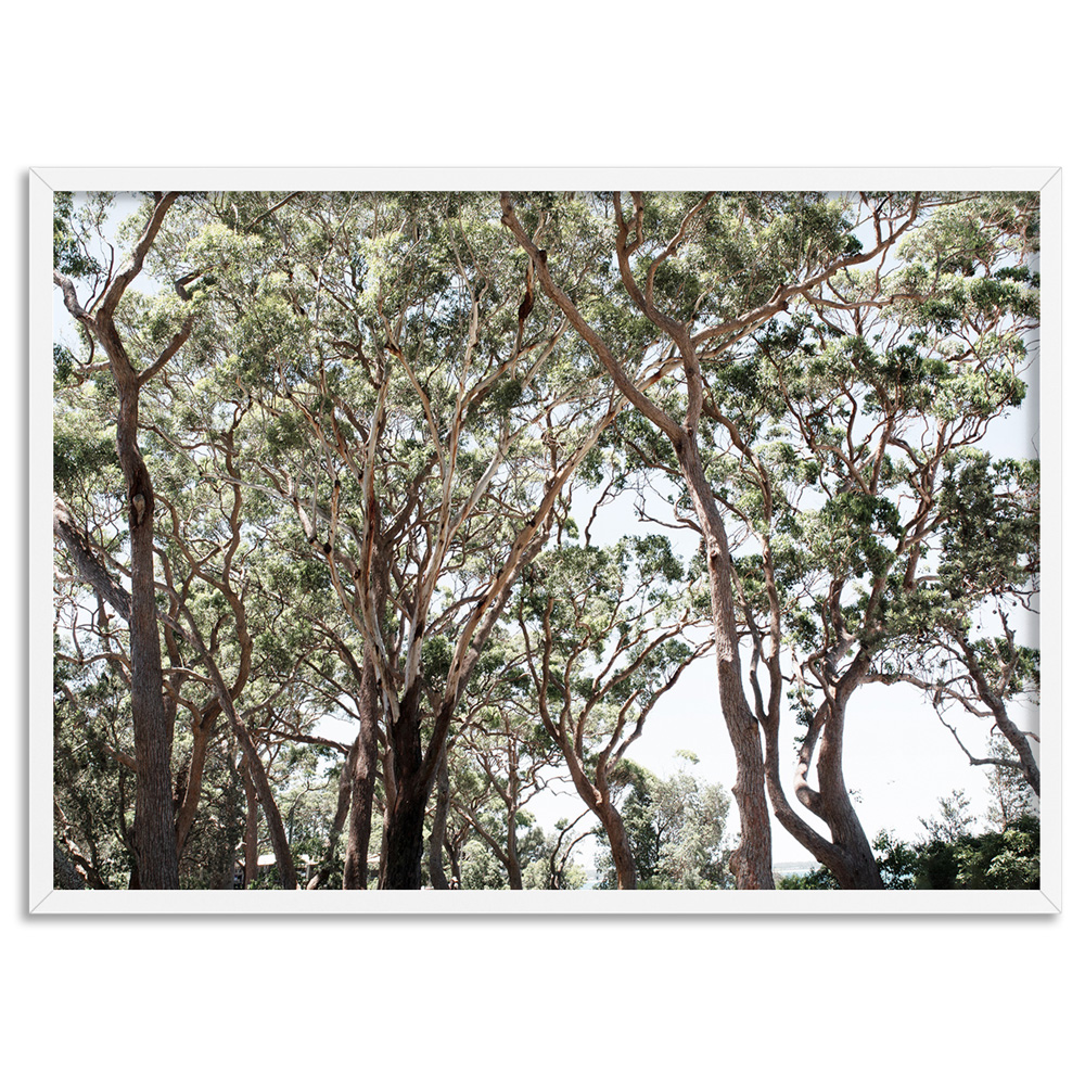Among the Gumtrees II - Art Print by Print and Proper - Style Sourcebook
